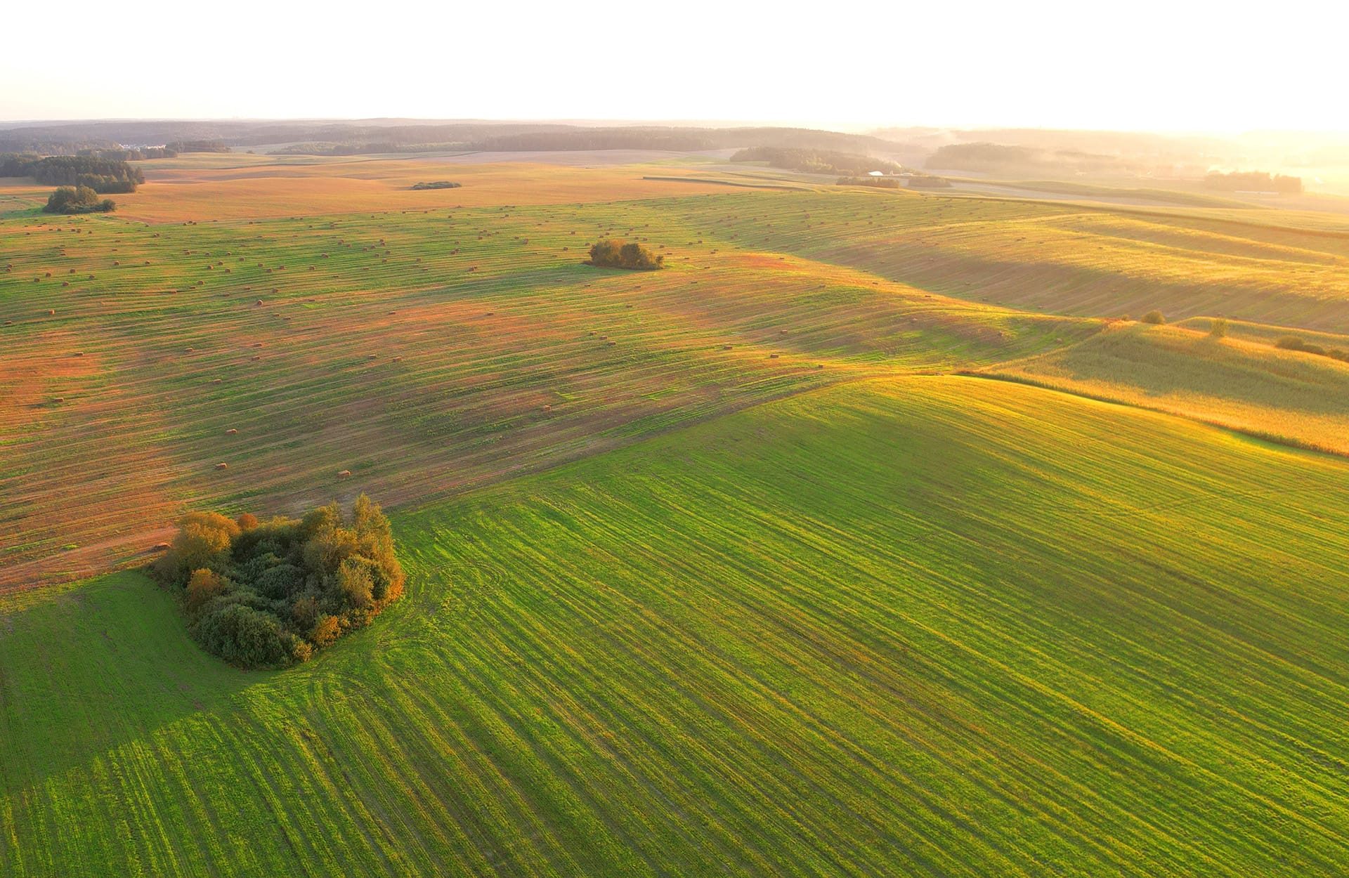 About - Flying Plow Farm